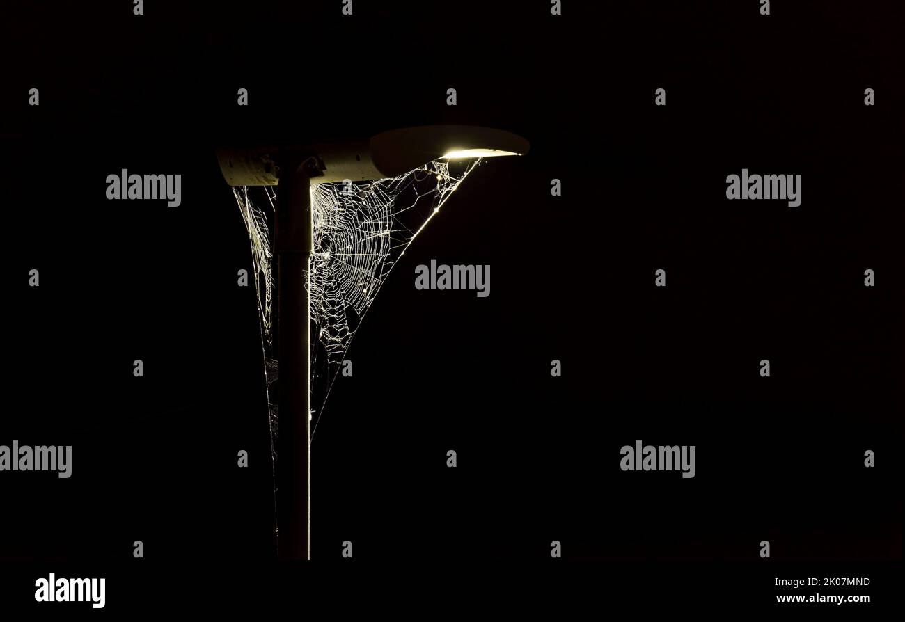 Spider web lamp hi-res stock photography and images - Alamy