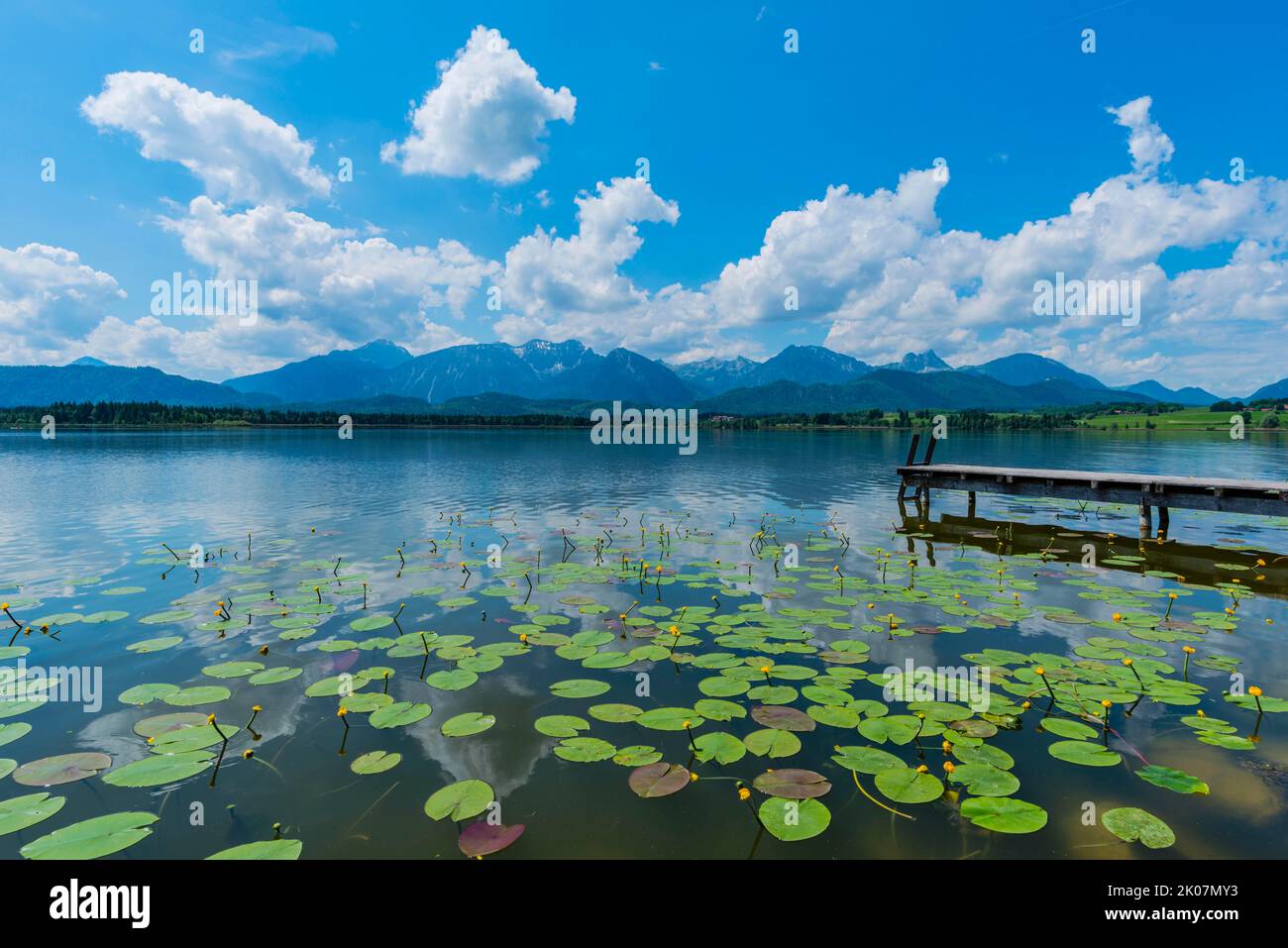 Hopfensee, Ostallgaeu, Allgaeu, Swabia, Bavaria, Germany Stock Photo ...