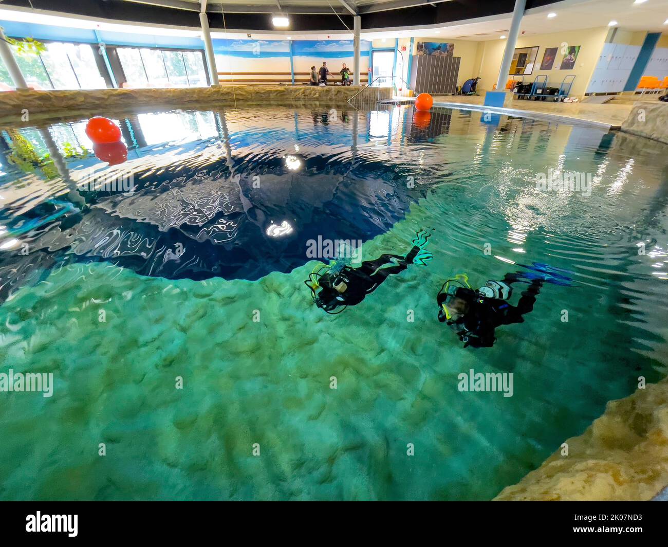 Pair of divers diving swimming close under water surface in clear water ...
