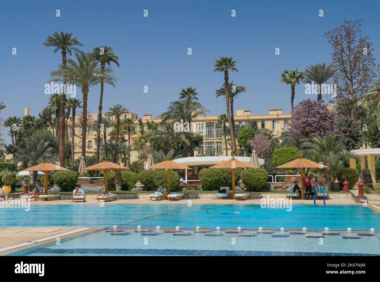 Swimming pool luxurious african hi-res stock photography and images - Alamy