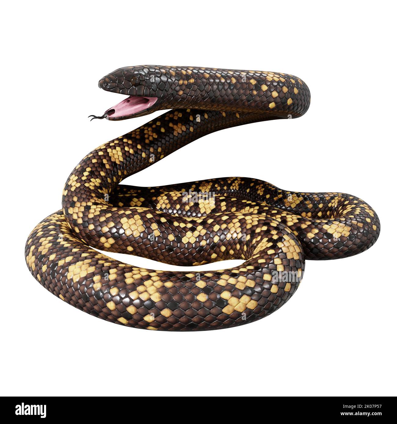 Calabar Cut Out Stock Images & Pictures - Alamy