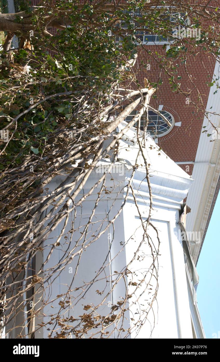 Hurricane Ivan, Alabama. Damage, cleanup, rebuilding; Secretary ...
