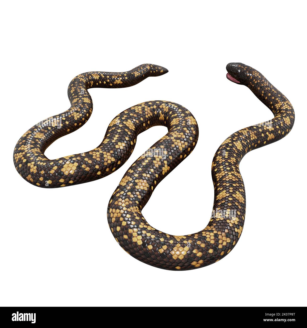 Calabar Python 3D illustration Stock Photo - Alamy