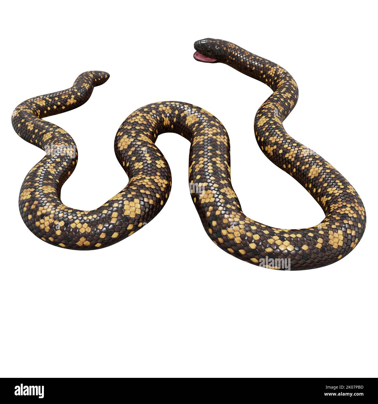 Calabar Python 3D illustration Stock Photo - Alamy