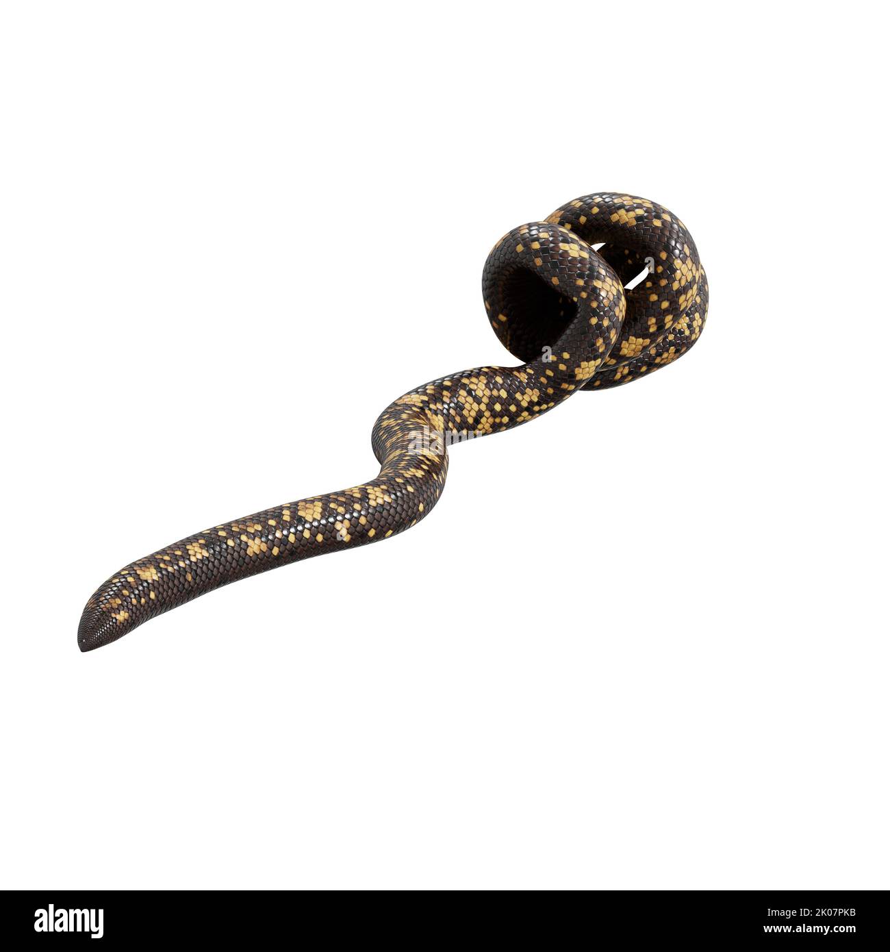 Calabar Python 3D illustration Stock Photo - Alamy