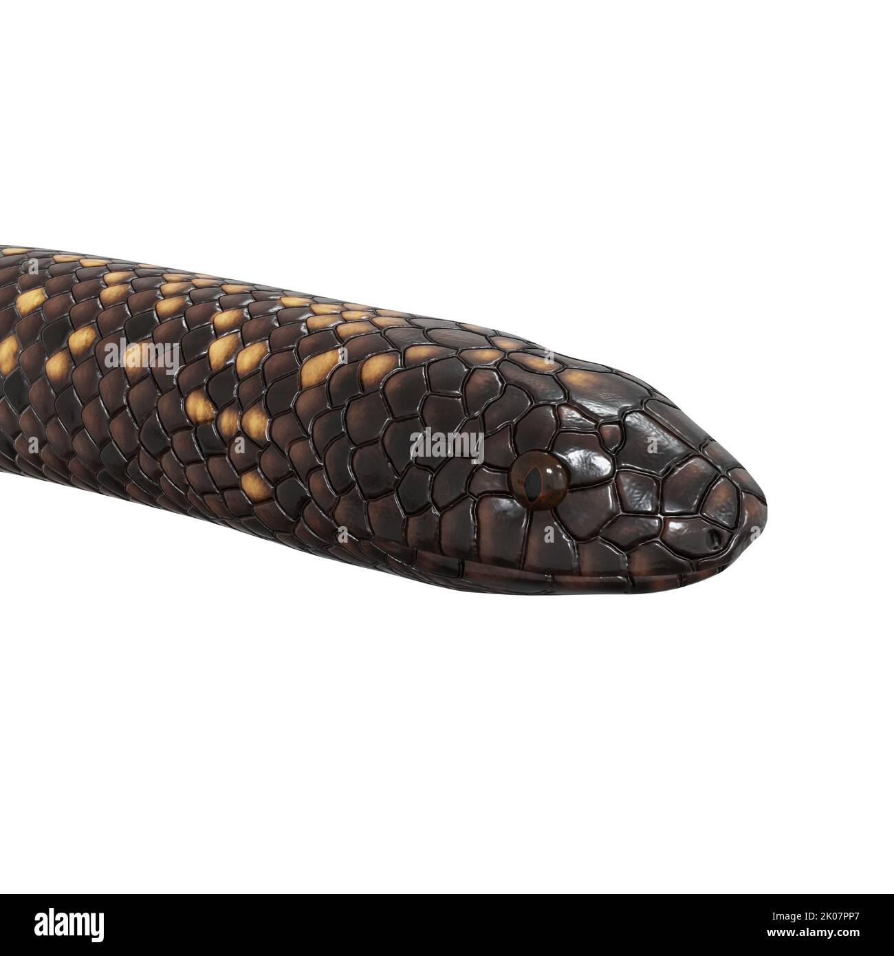 3d slime hi-res stock photography and images - Alamy