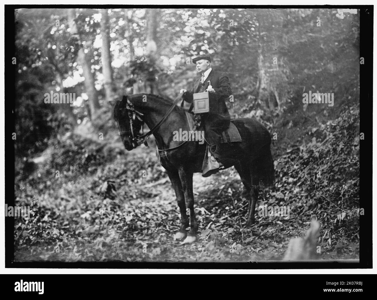 Man on horse in woods, between 1914 and 1917. Photographer with camera ...