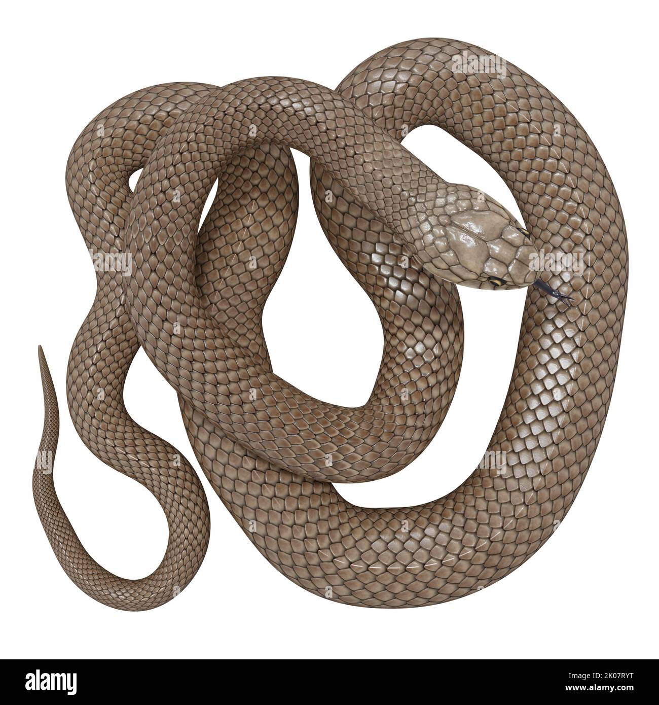 Vfx snake hi-res stock photography and images - Alamy