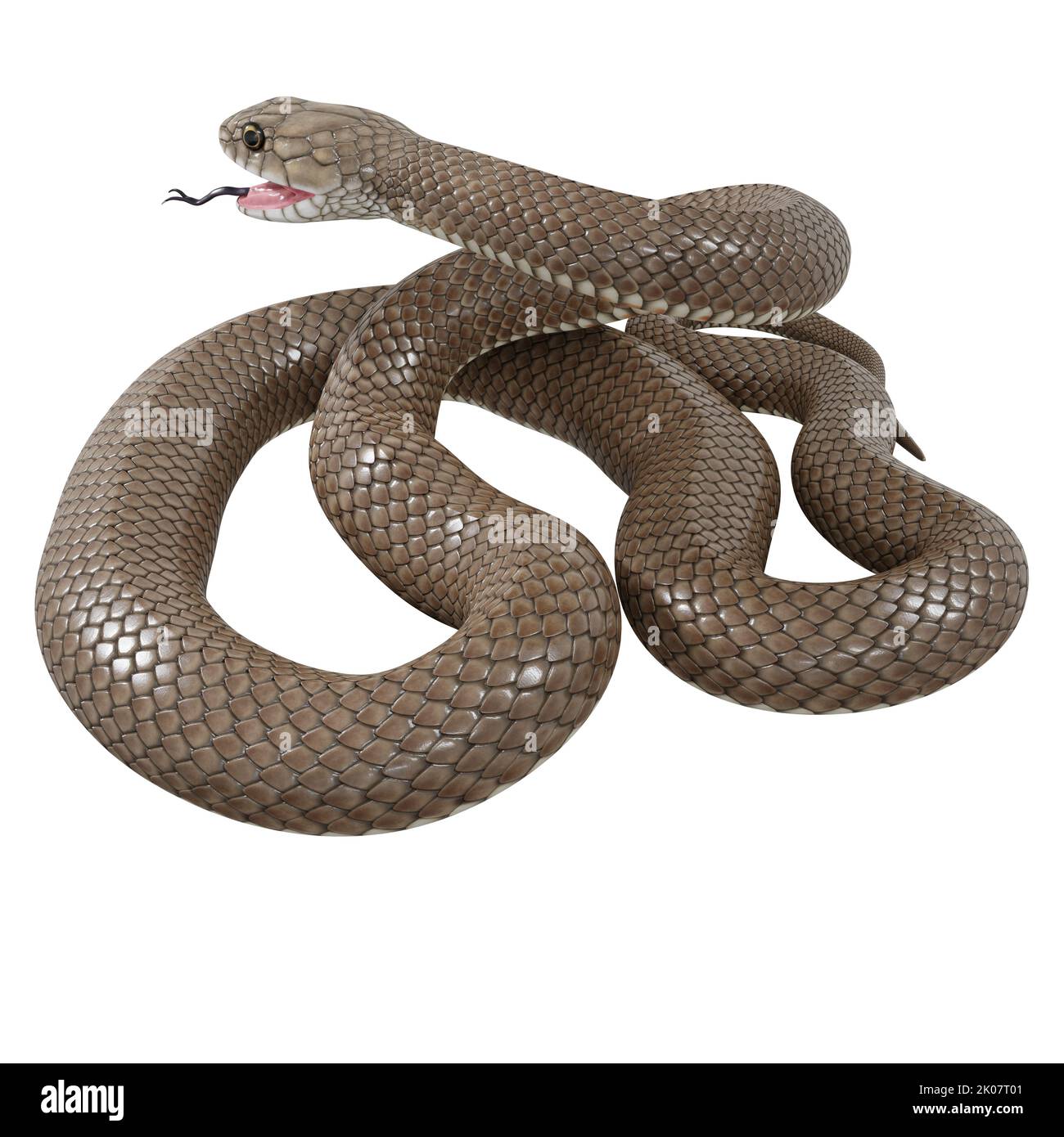 Computer illustrated creatures hi-res stock photography and images - Alamy