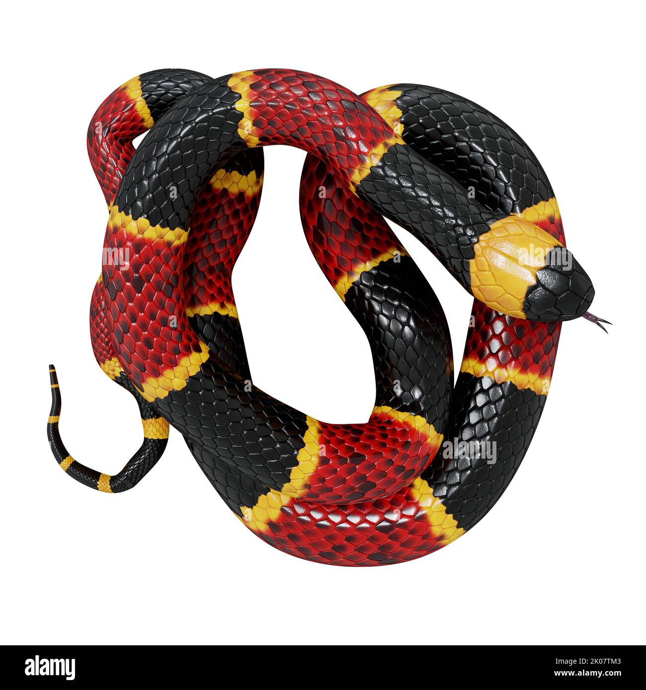 Eastern coral snake 3D illustration Stock Photo - Alamy