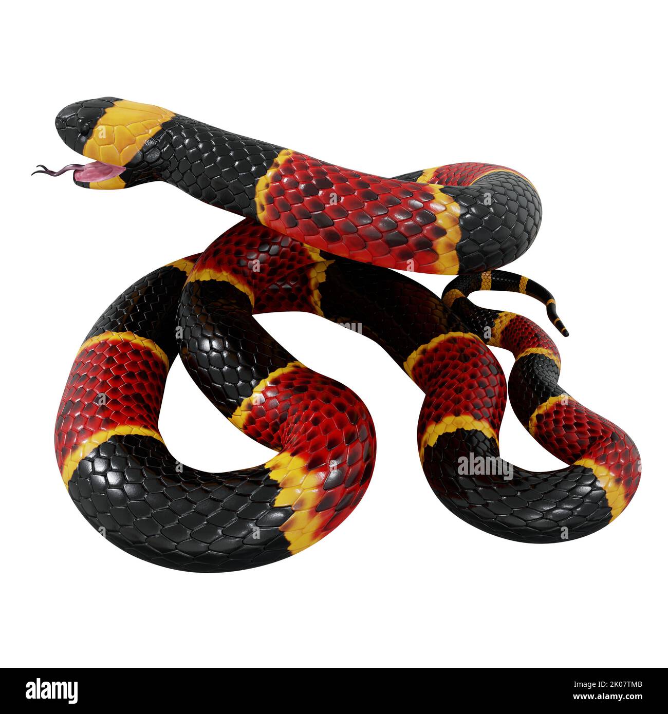 Eastern coral snake 3D illustration Stock Photo - Alamy