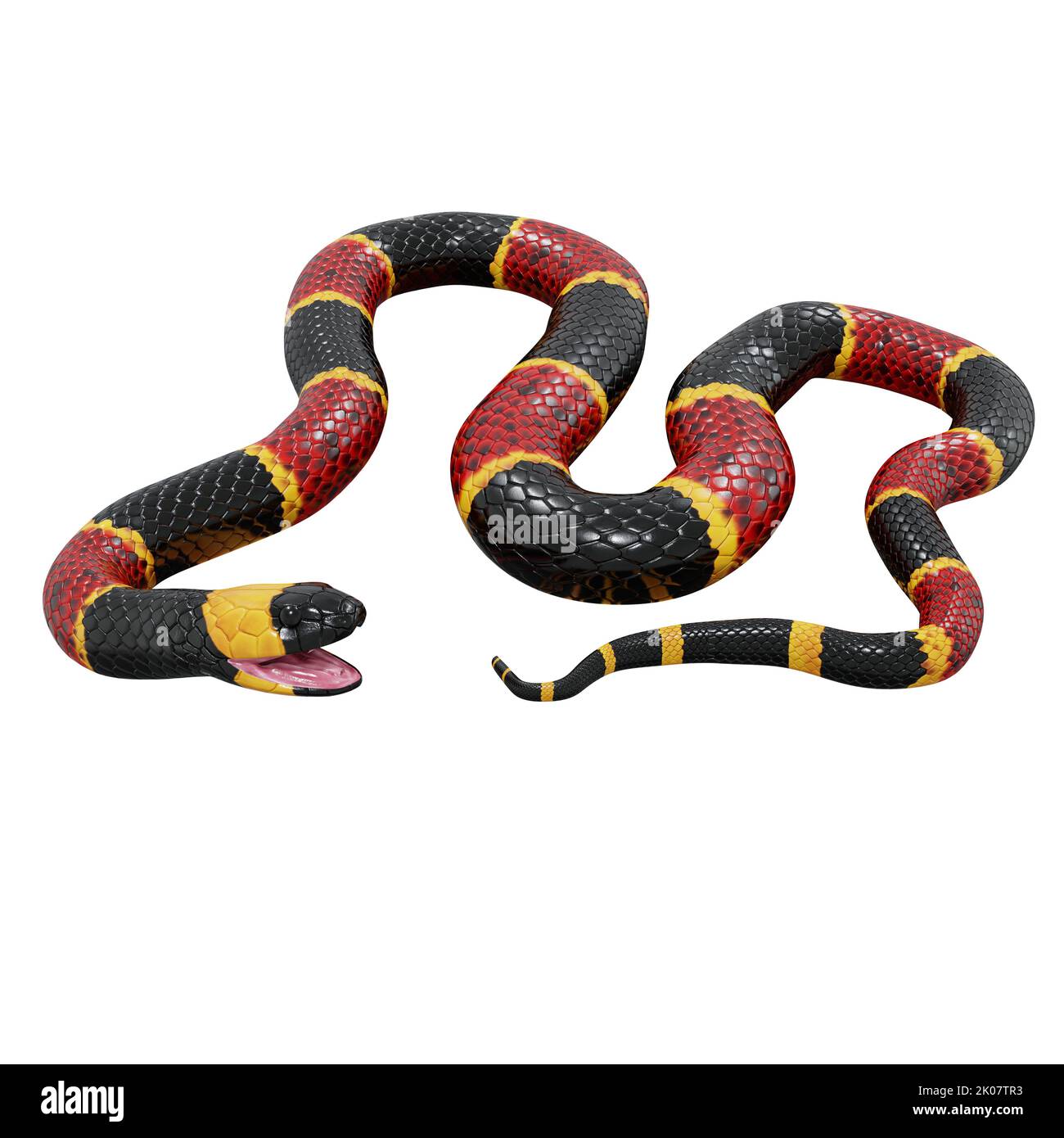 Eastern coral snake 3D illustration Stock Photo - Alamy