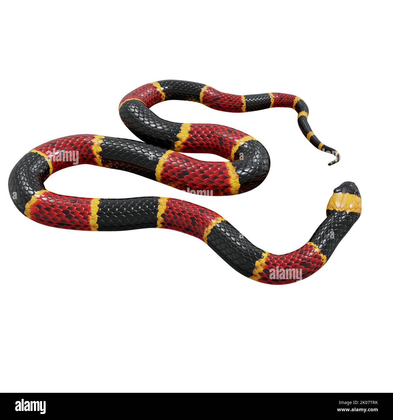 Eastern coral snake 3D illustration Stock Photo - Alamy