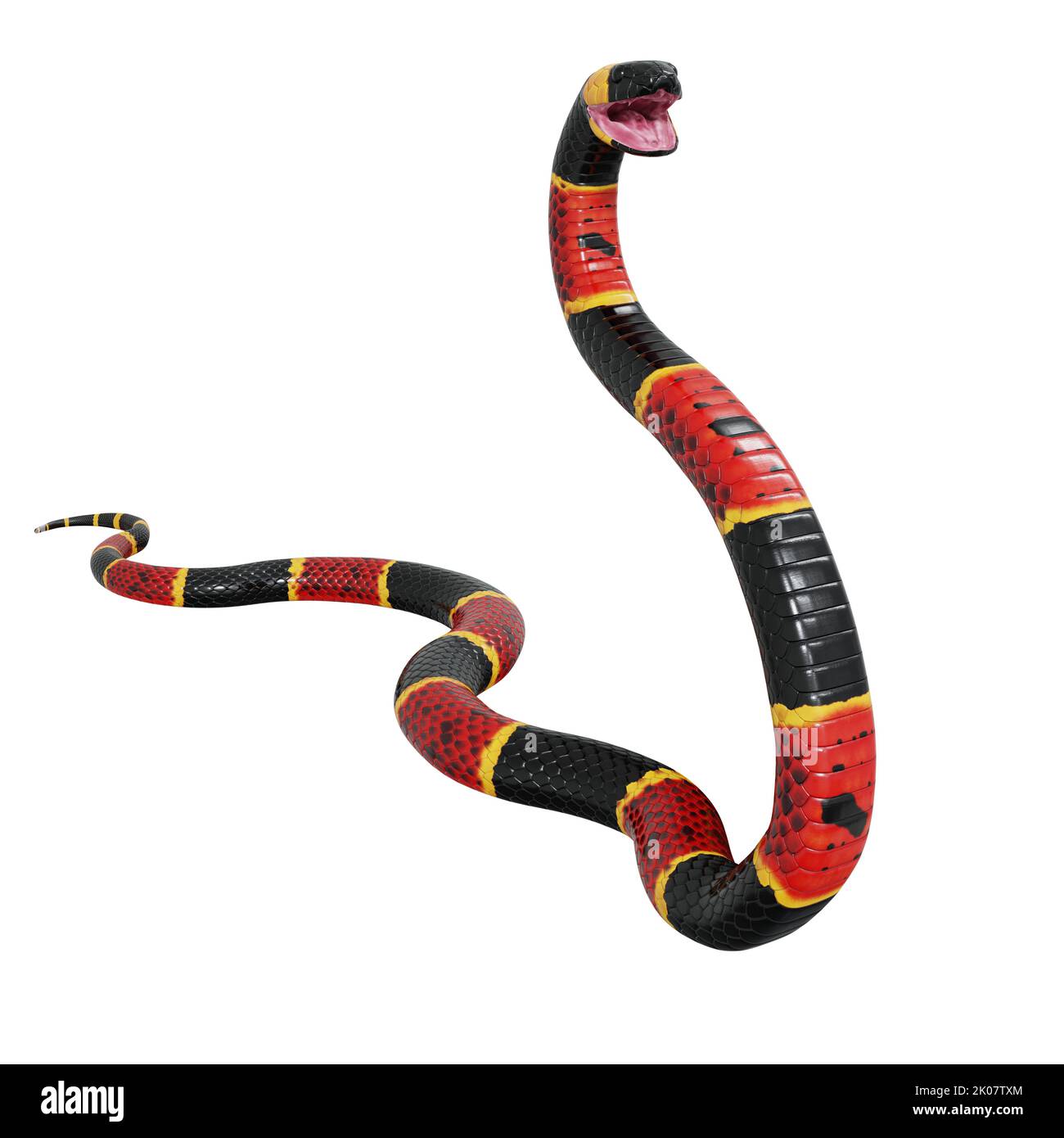 Eastern coral snake 3D illustration Stock Photo - Alamy