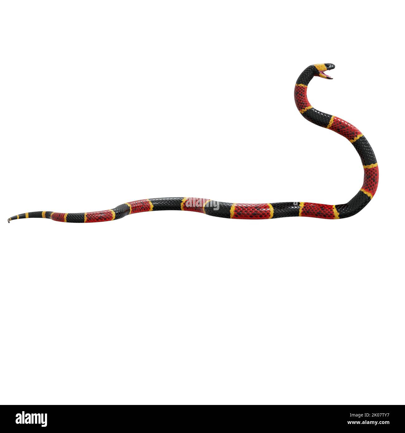 Eastern coral snake 3D illustration Stock Photo - Alamy