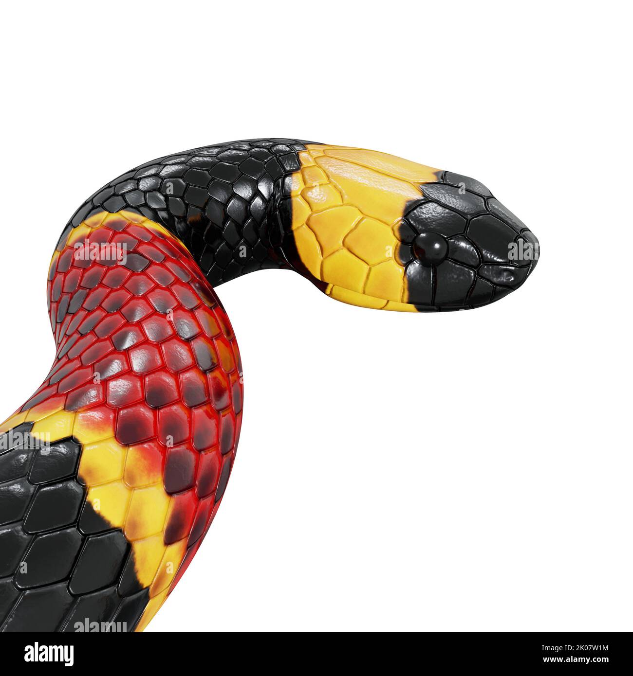 Eastern coral snake 3D illustration Stock Photo - Alamy