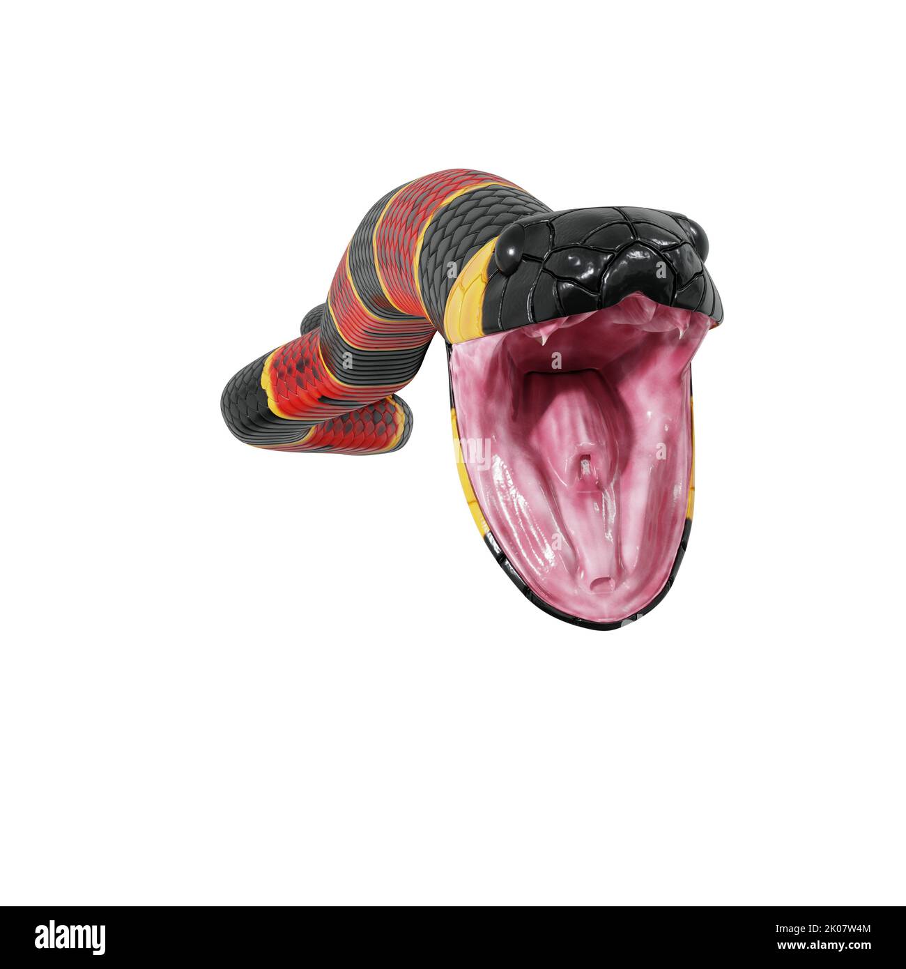 Eastern coral snake 3D illustration Stock Photo - Alamy