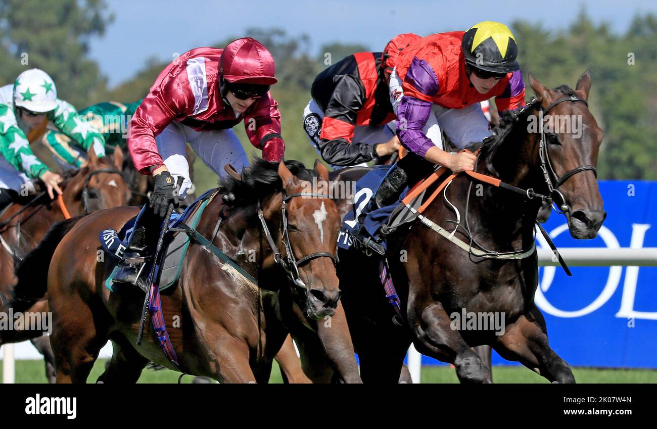Longines irish champions weekend day one leopardstown raceco hi-res stock photography and images ...