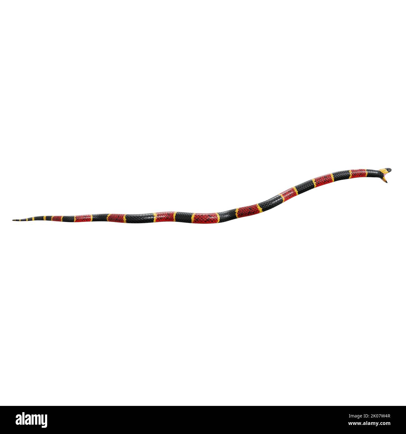 Eastern coral snake 3D illustration Stock Photo - Alamy