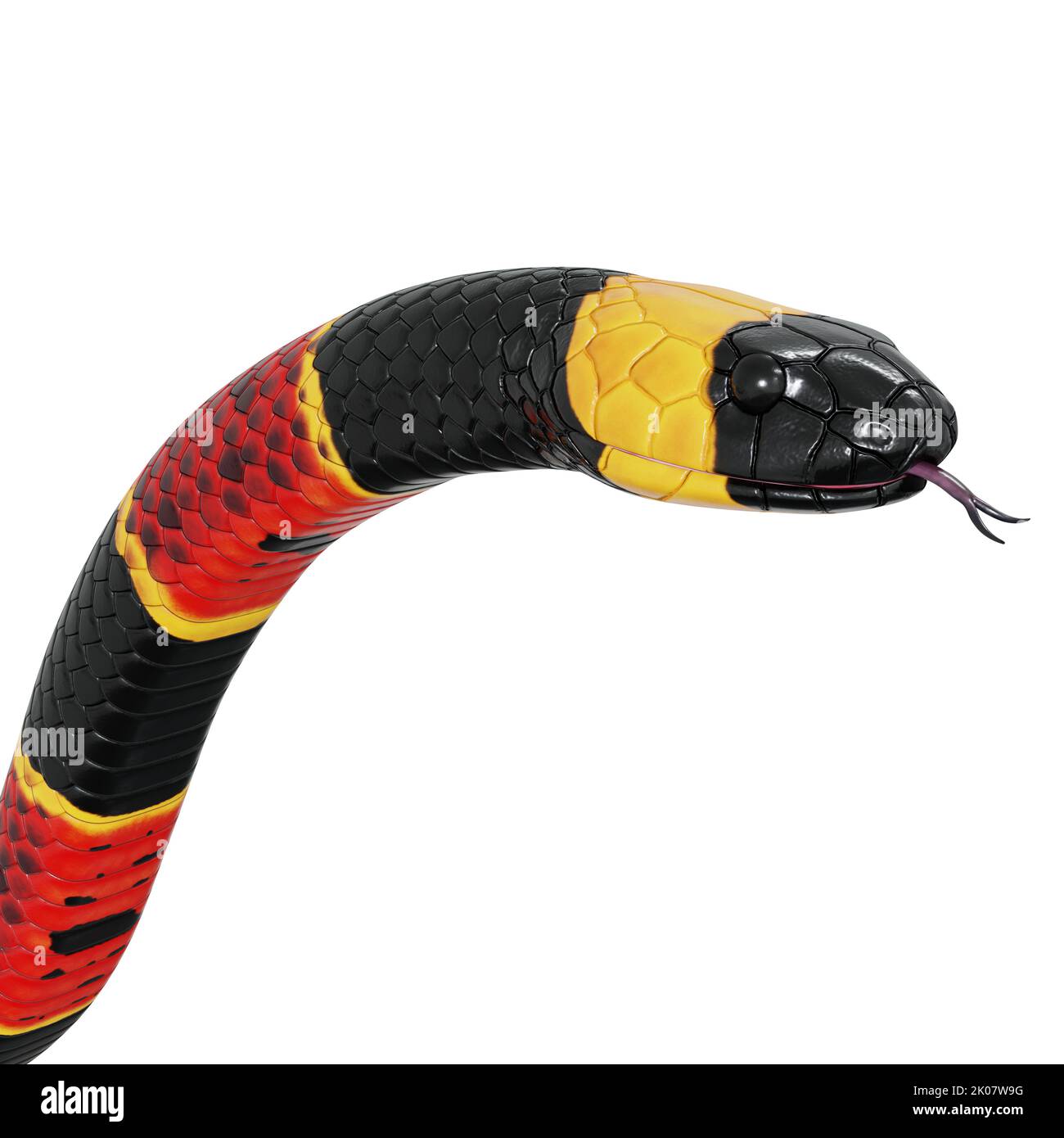 Eastern coral snake 3D illustration Stock Photo - Alamy