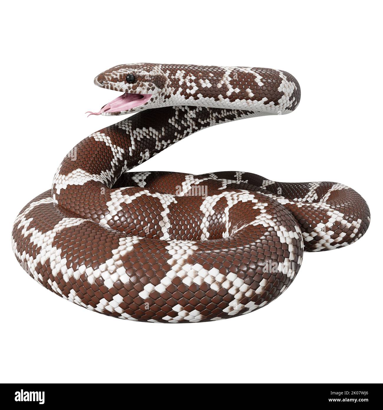 Kenyan sand boa 3d illustration Stock Photo - Alamy