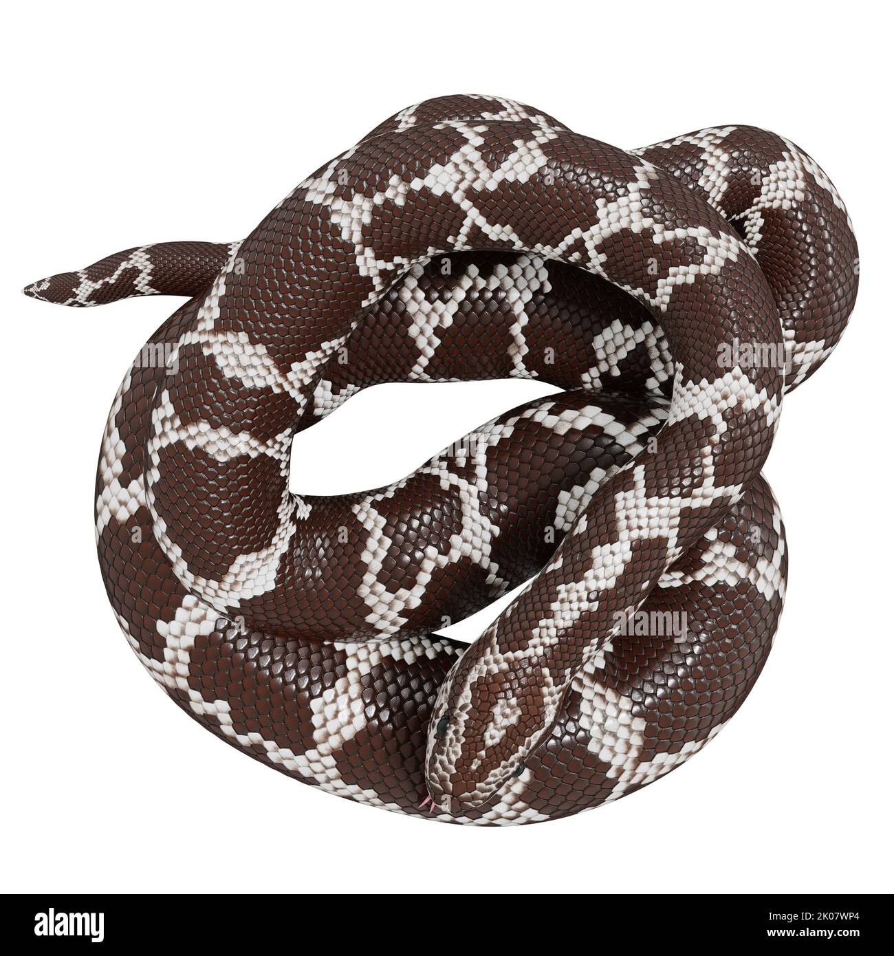 Kenyan sand boa 3d illustration Stock Photo - Alamy