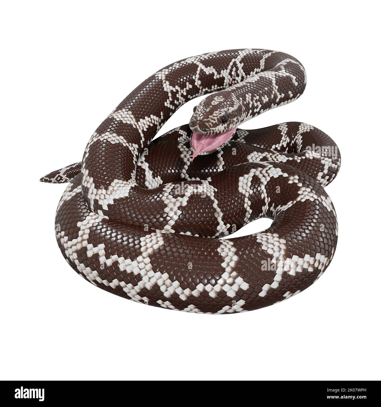 Kenyan sand boa 3d illustration Stock Photo - Alamy