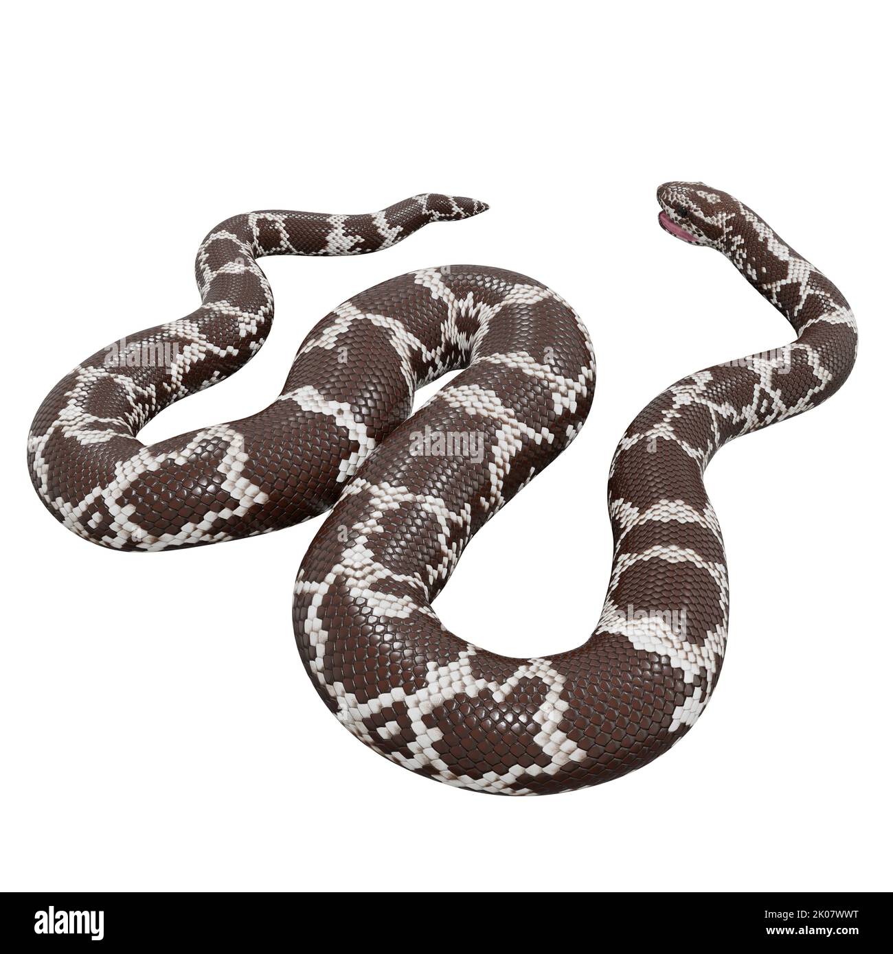 Kenyan sand boa 3d illustration Stock Photo - Alamy