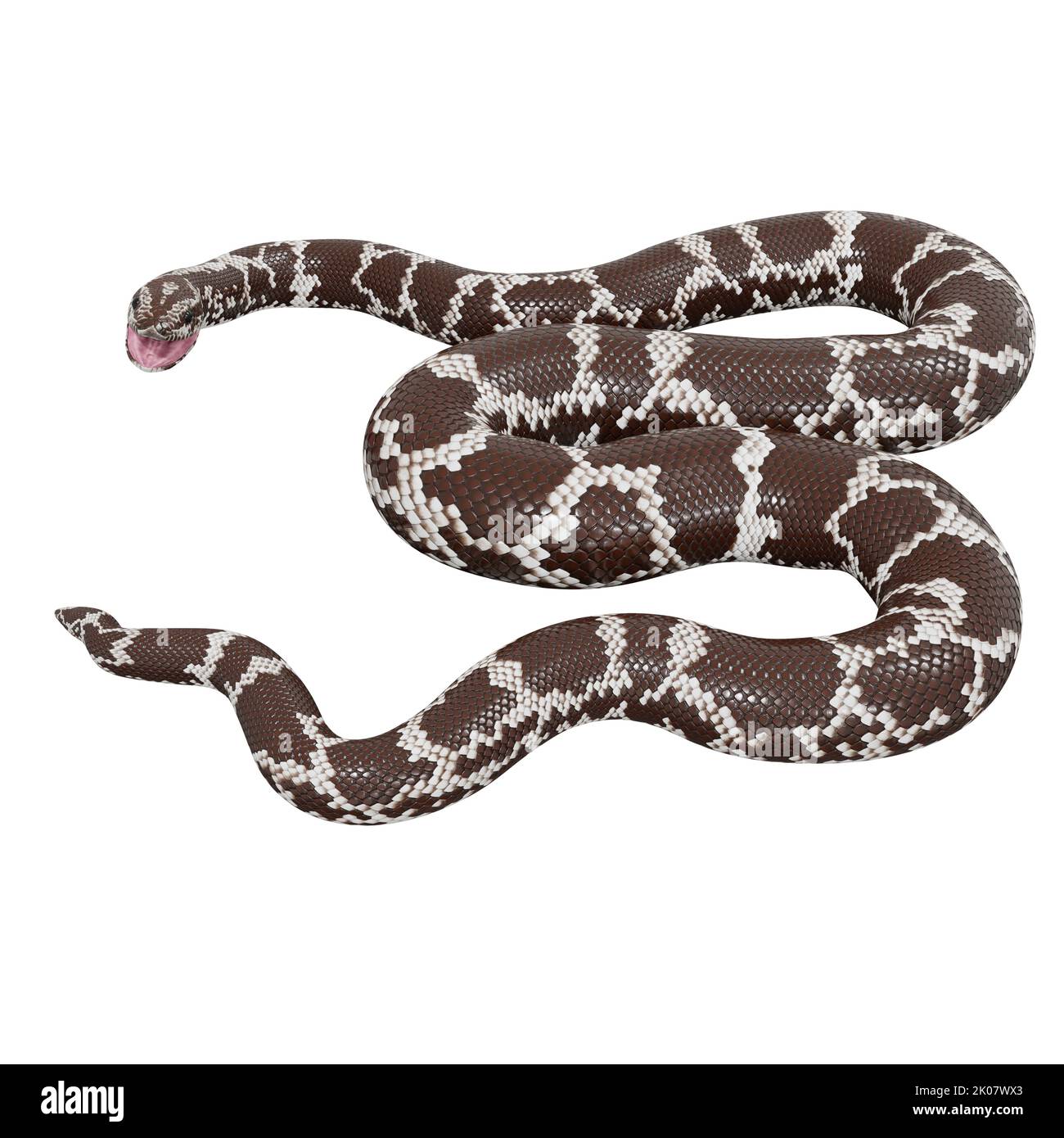 Kenyan sand boa 3d illustration Stock Photo - Alamy