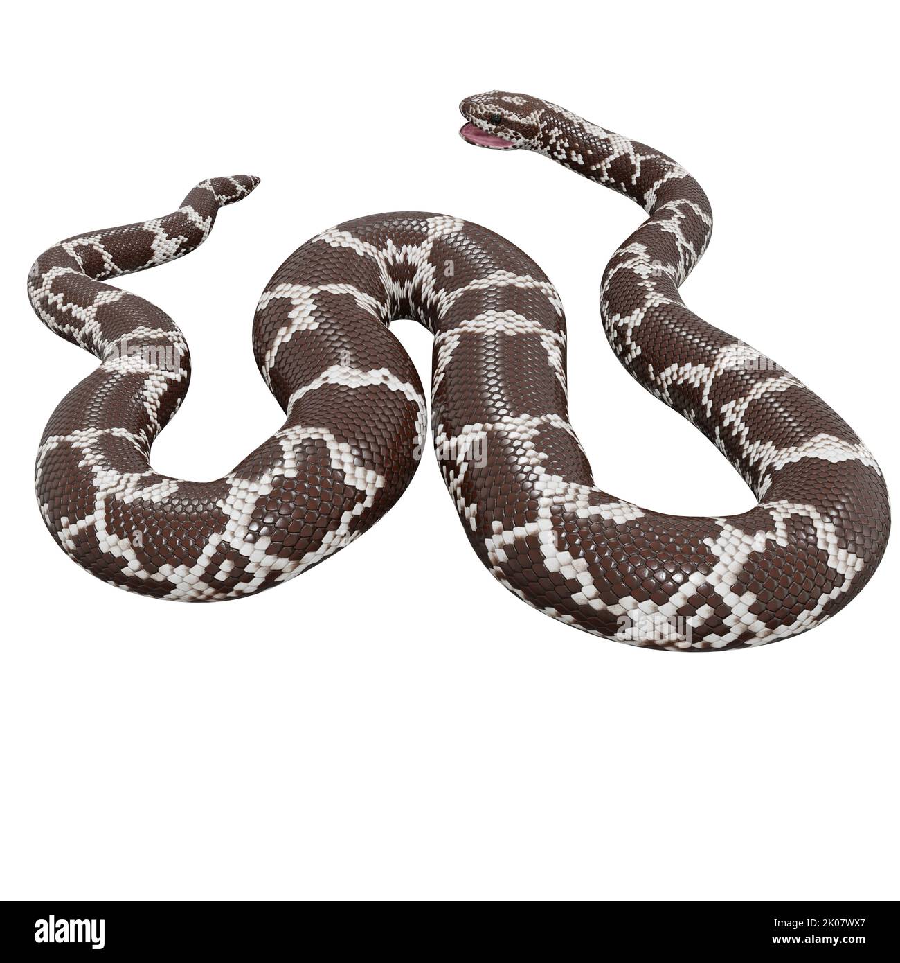 Kenyan sand boa 3d illustration Stock Photo - Alamy