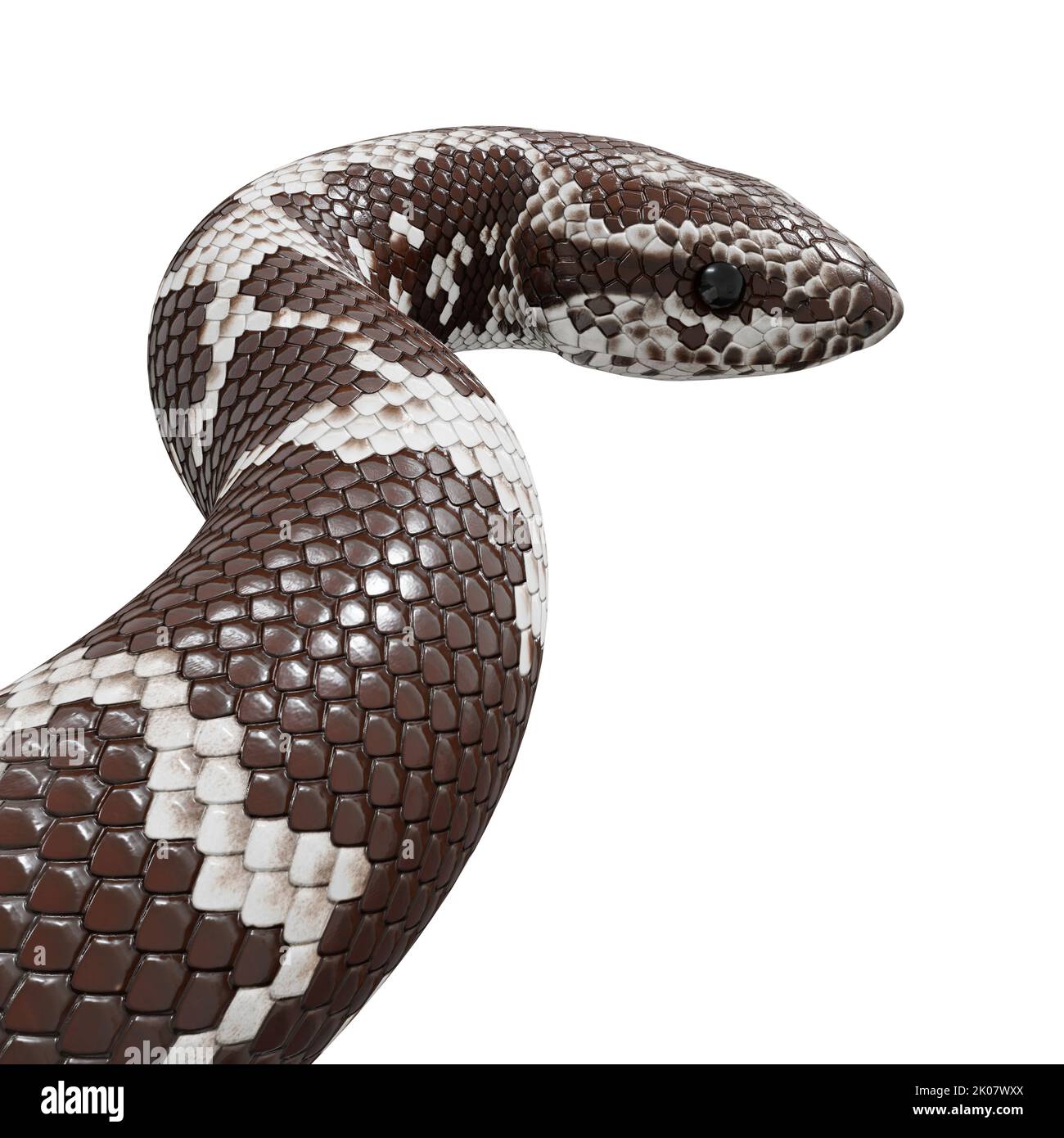 Kenyan sand boa 3d illustration Stock Photo - Alamy