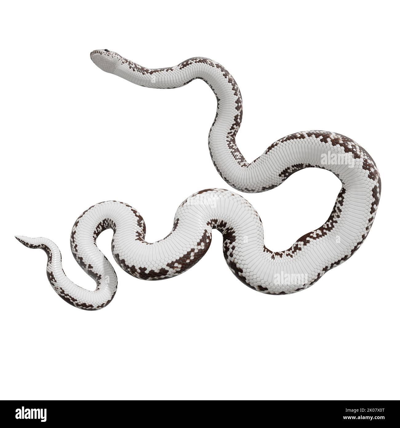 Kenyan sand boa 3d illustration Stock Photo - Alamy