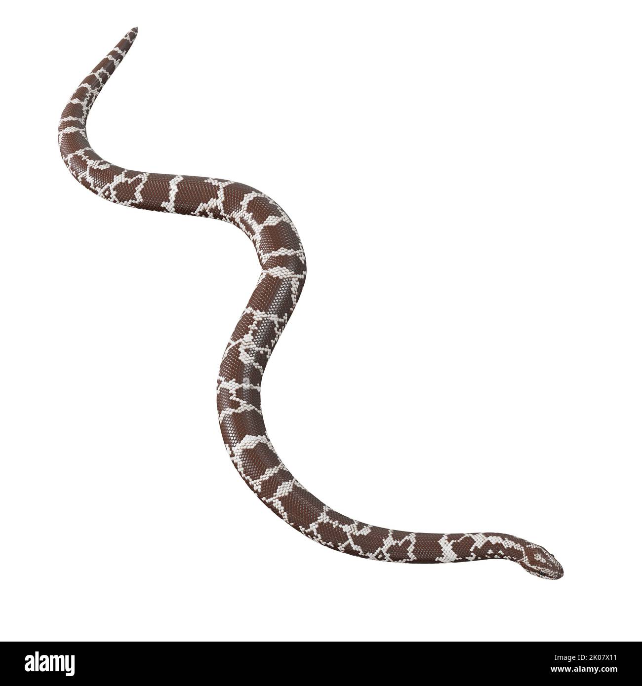 Kenyan sand boa 3d illustration Stock Photo - Alamy