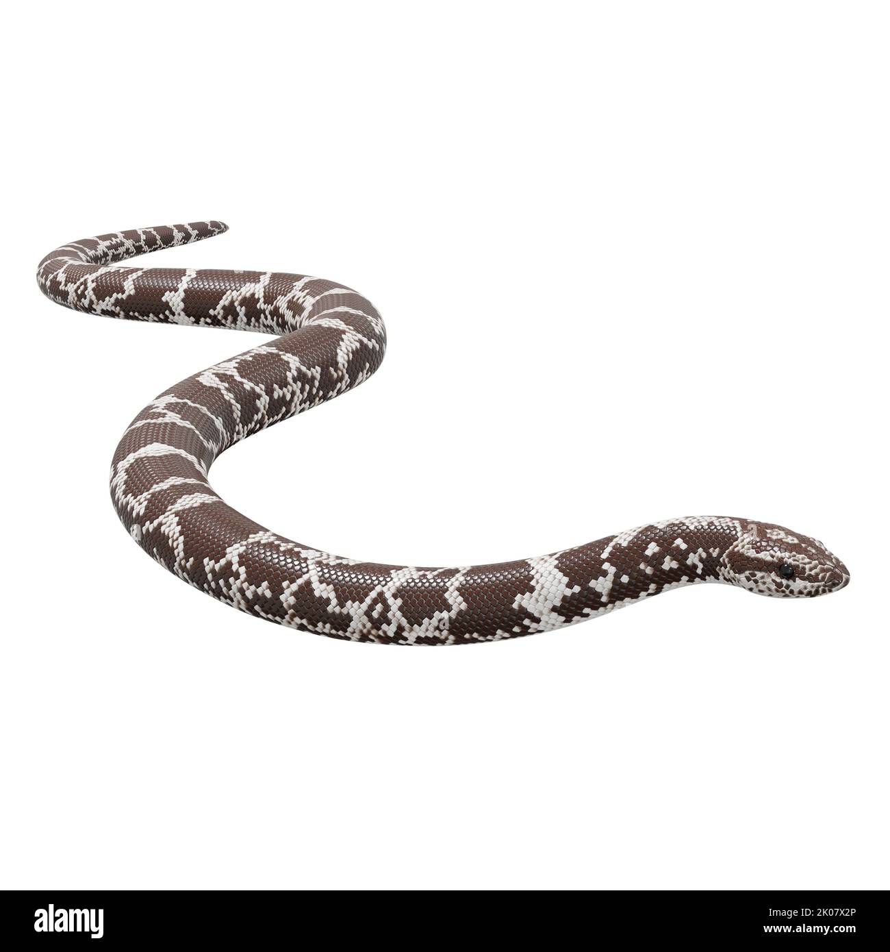 Kenyan sand boa 3d illustration Stock Photo - Alamy