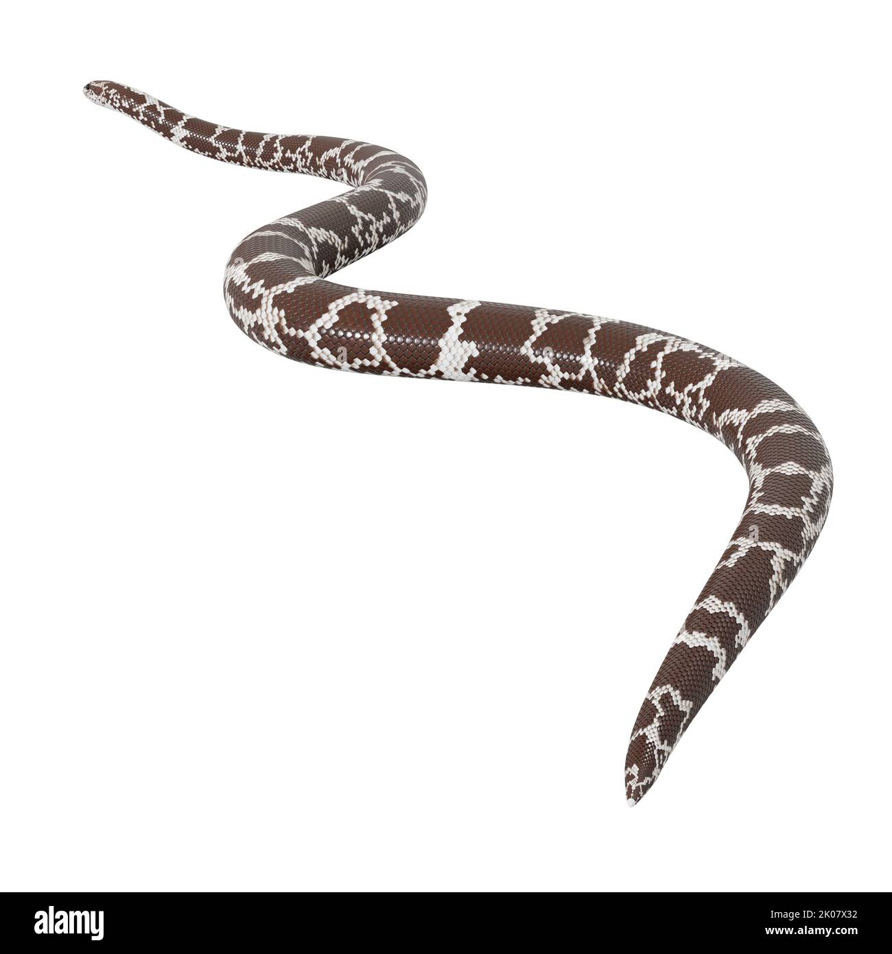 Kenyan sand boa 3d illustration Stock Photo - Alamy