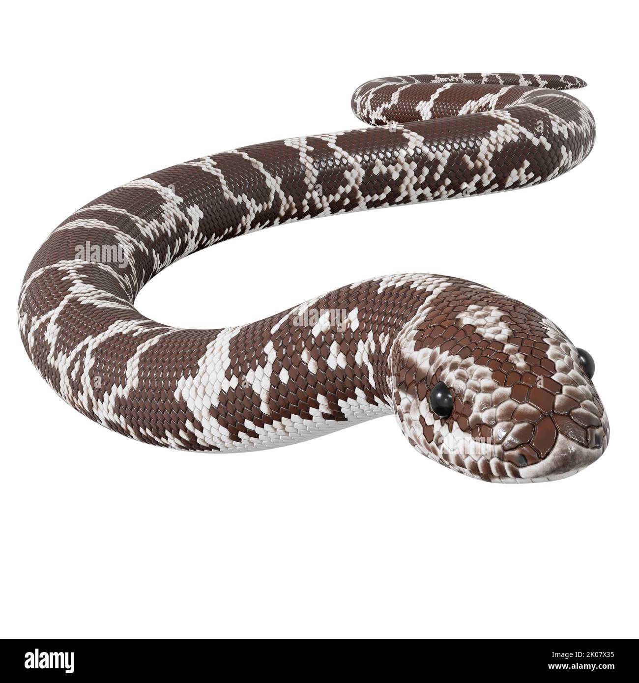 Kenyan sand boa 3d illustration Stock Photo - Alamy