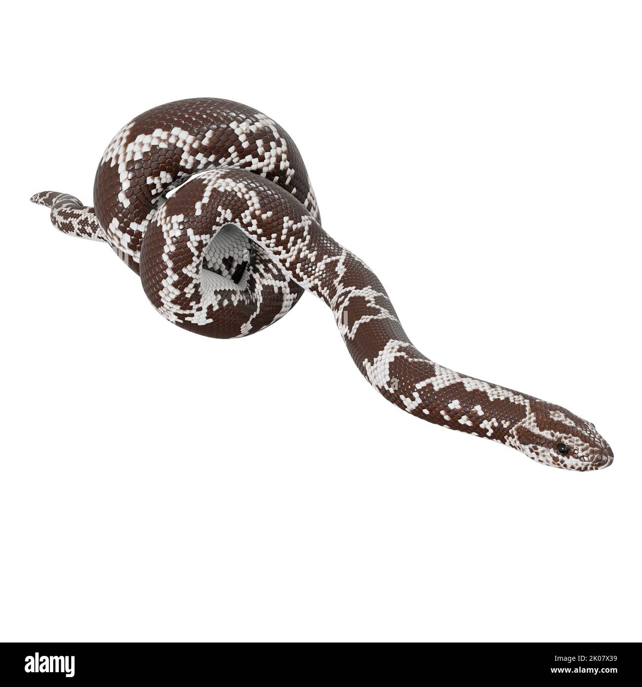 Kenyan sand boa 3d illustration Stock Photo - Alamy