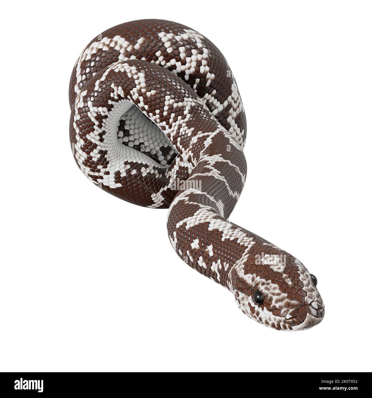 Kenyan sand boa 3d illustration Stock Photo - Alamy