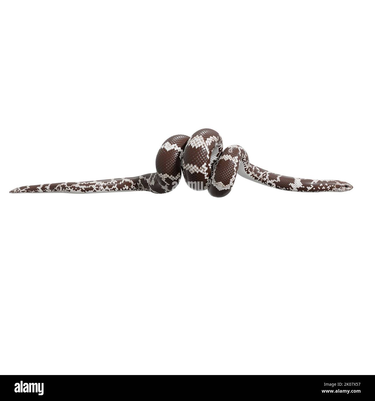 Kenyan sand boa 3d illustration Stock Photo - Alamy