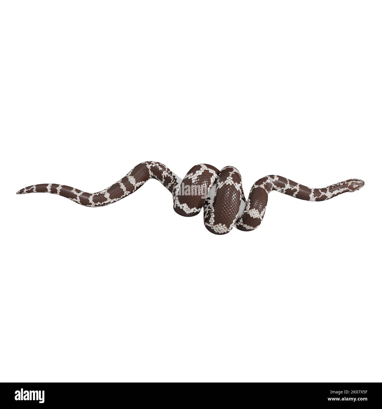Kenyan sand boa 3d illustration Stock Photo - Alamy