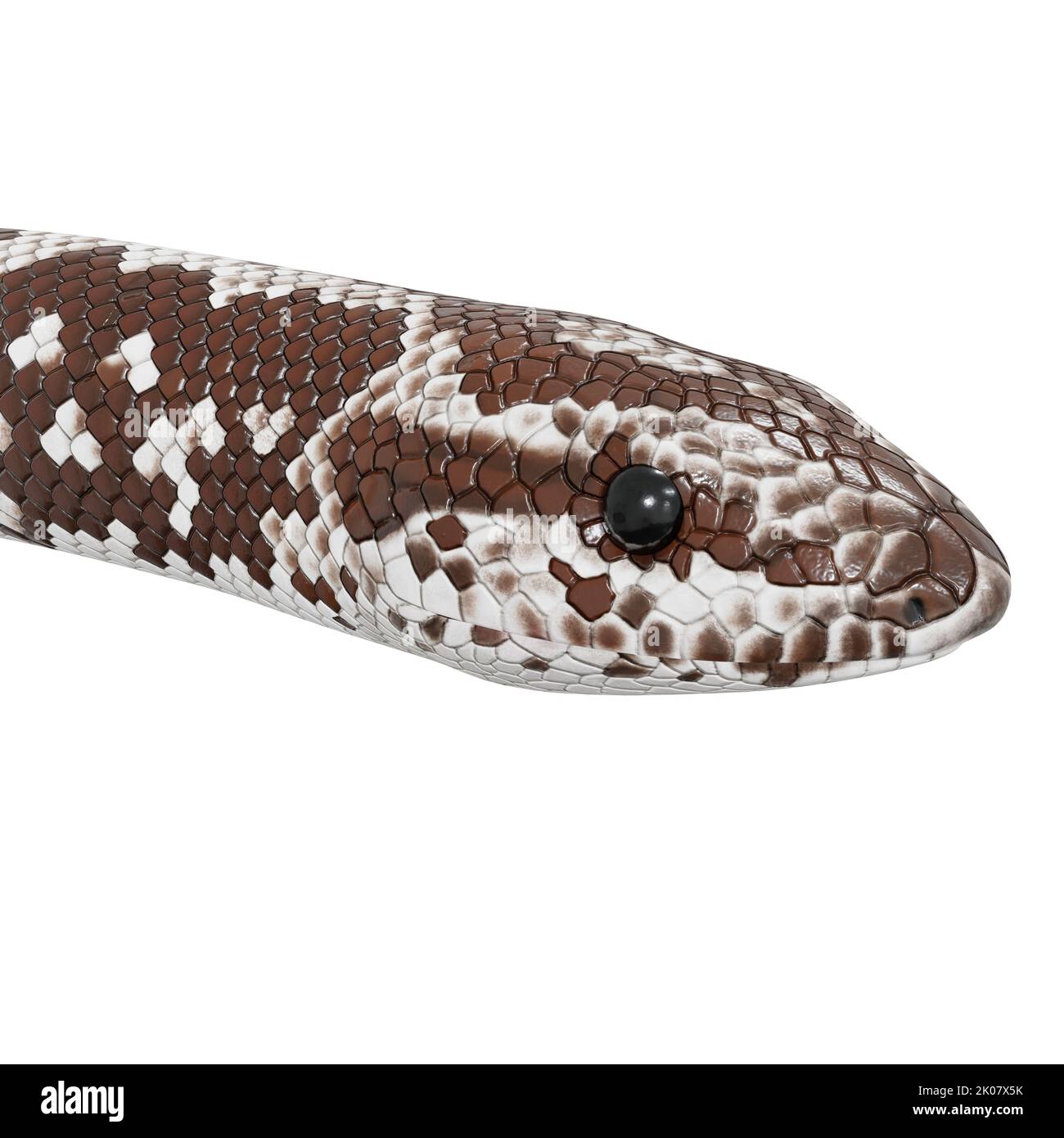 Kenyan sand boa 3d illustration Stock Photo - Alamy
