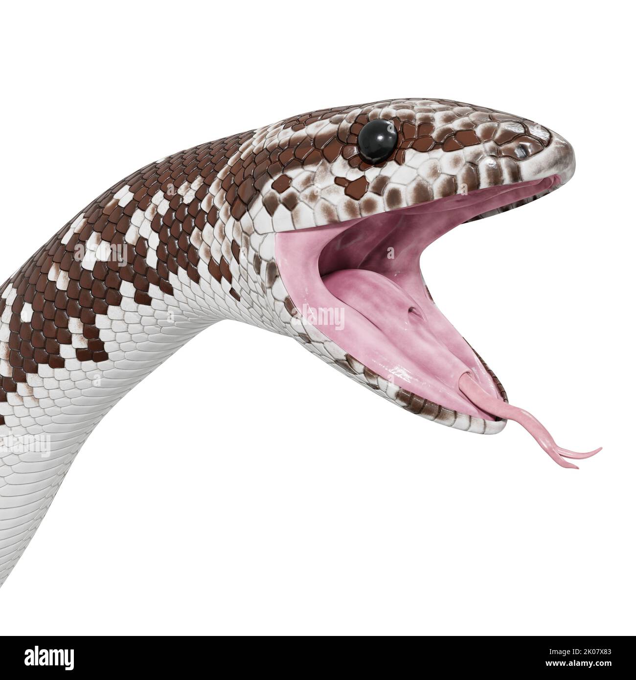 Kenyan sand boa 3d illustration Stock Photo - Alamy