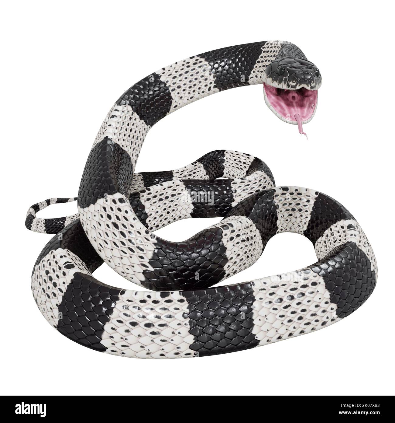 Malayan Krait 3D illustration Stock Photo - Alamy