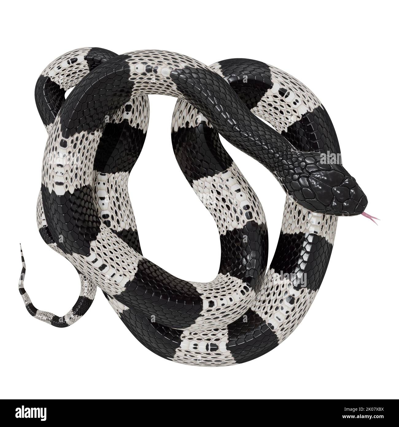 Malayan Krait 3D illustration Stock Photo - Alamy