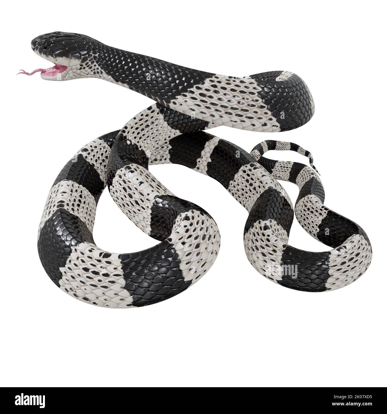 Malayan Krait 3D illustration Stock Photo - Alamy
