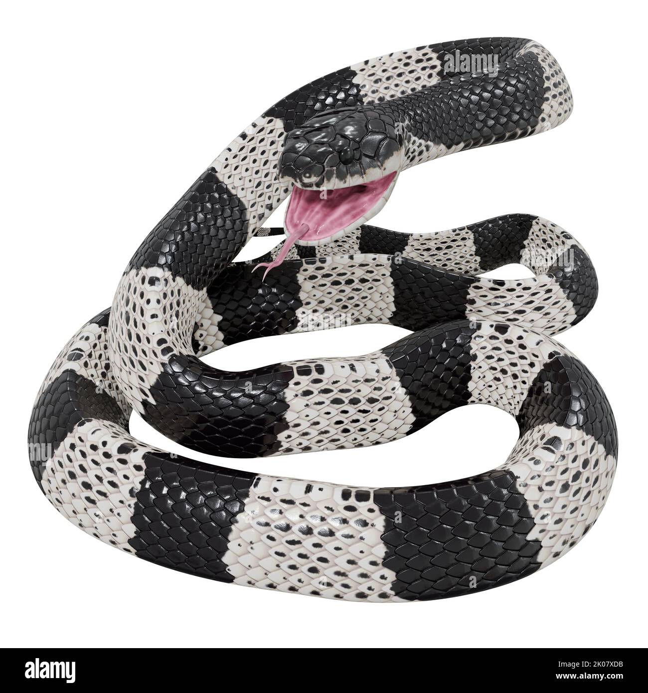 3d animated animals Cut Out Stock Images & Pictures - Alamy