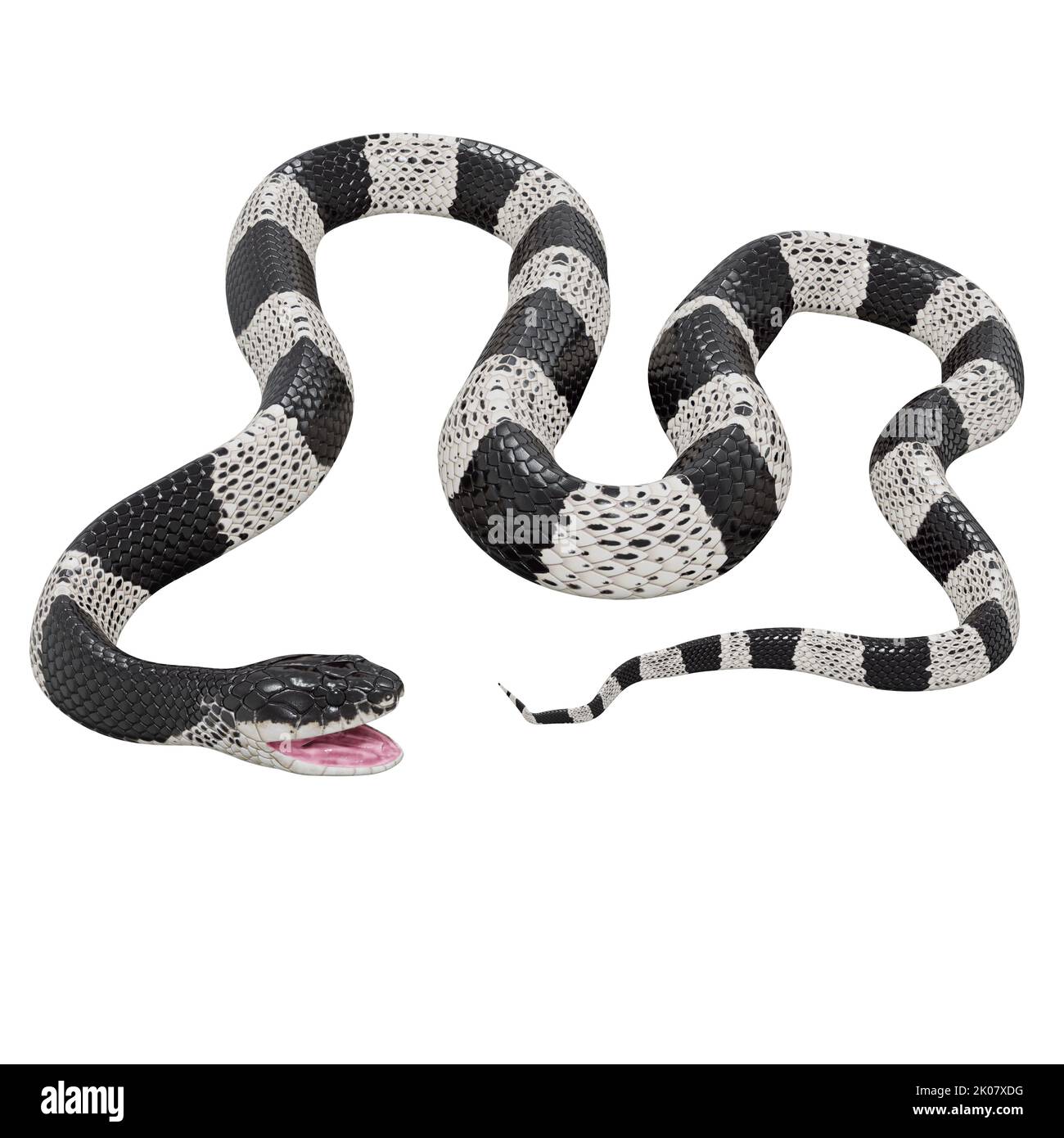 Malayan Krait 3D illustration Stock Photo - Alamy