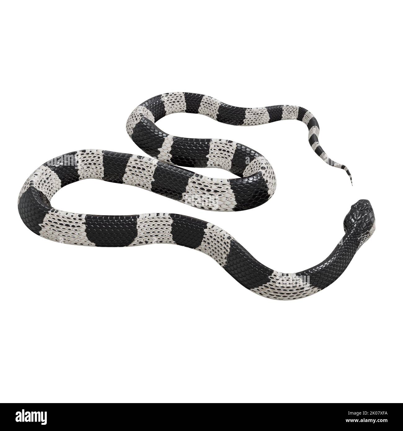 Malayan Krait 3D illustration Stock Photo - Alamy
