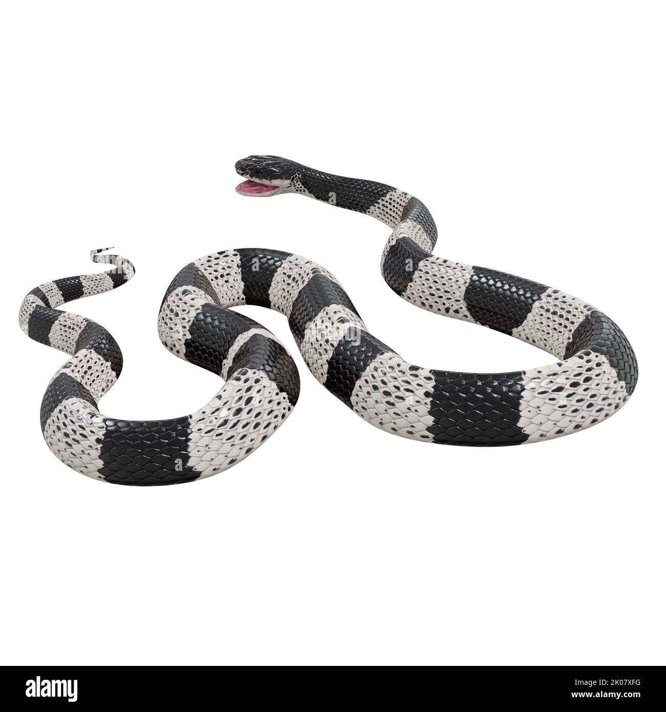 Malayan Krait 3D illustration Stock Photo - Alamy