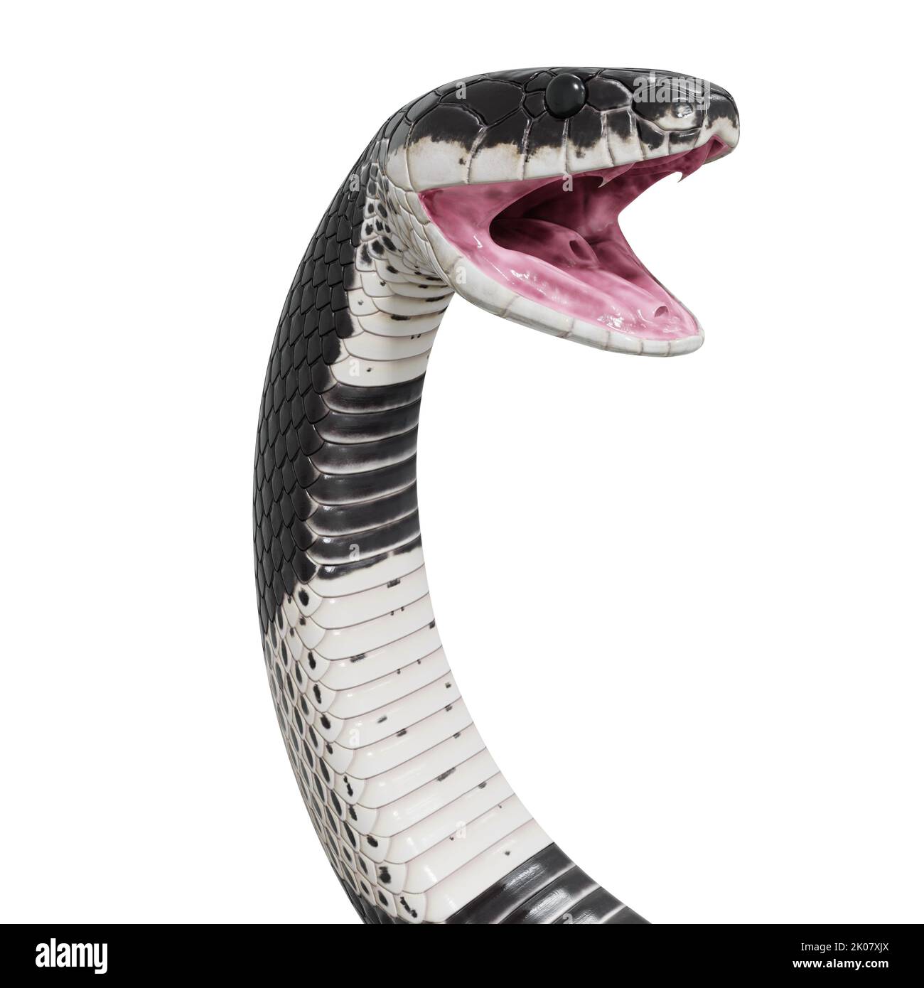 Malayan Krait 3D illustration Stock Photo - Alamy